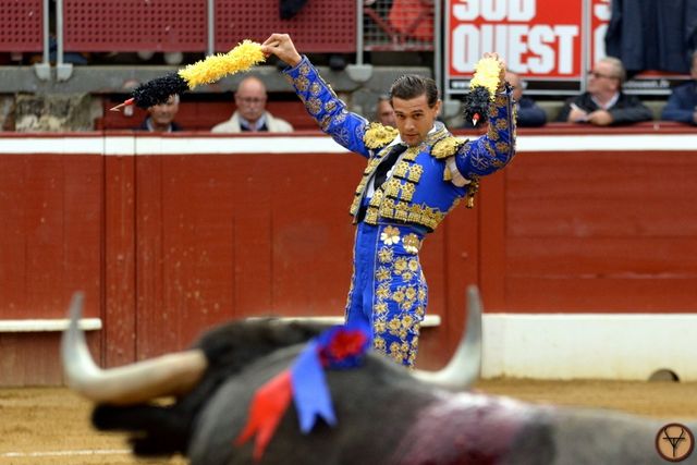 Noticias : Mathieu Guillon « El Monteño » troque le costume d’or avec ...