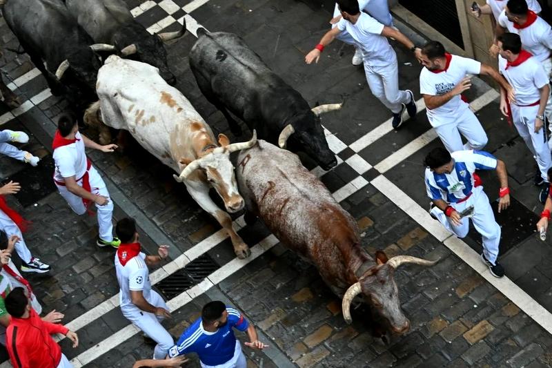 Pamplona : retrouvez tous les encierros de la San Fermin 2024 en vidéos