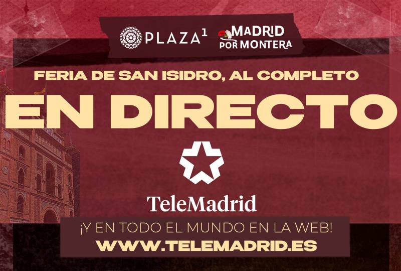 Vuelta A Los Toros : Actualités taurines, toros bravos, férias